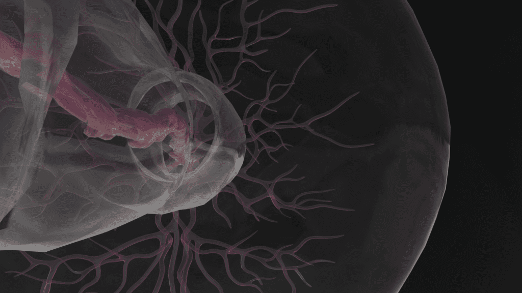 Placenta, Exosome (PLEx) & Nanoparticle Laboratory page | Developing ...